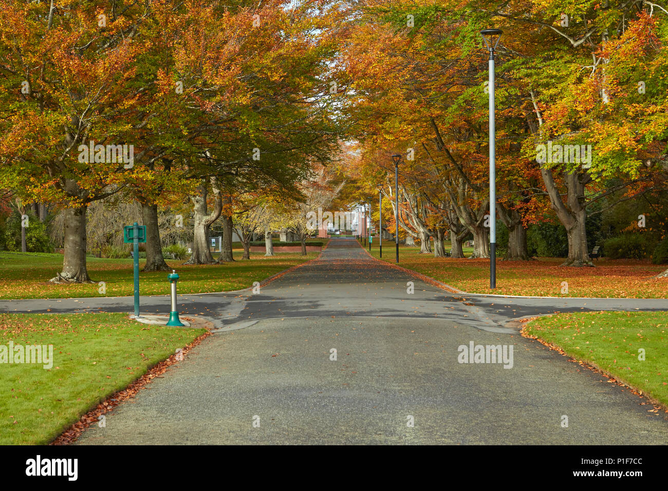 Queens park invercargill hi-res stock photography and images - Alamy