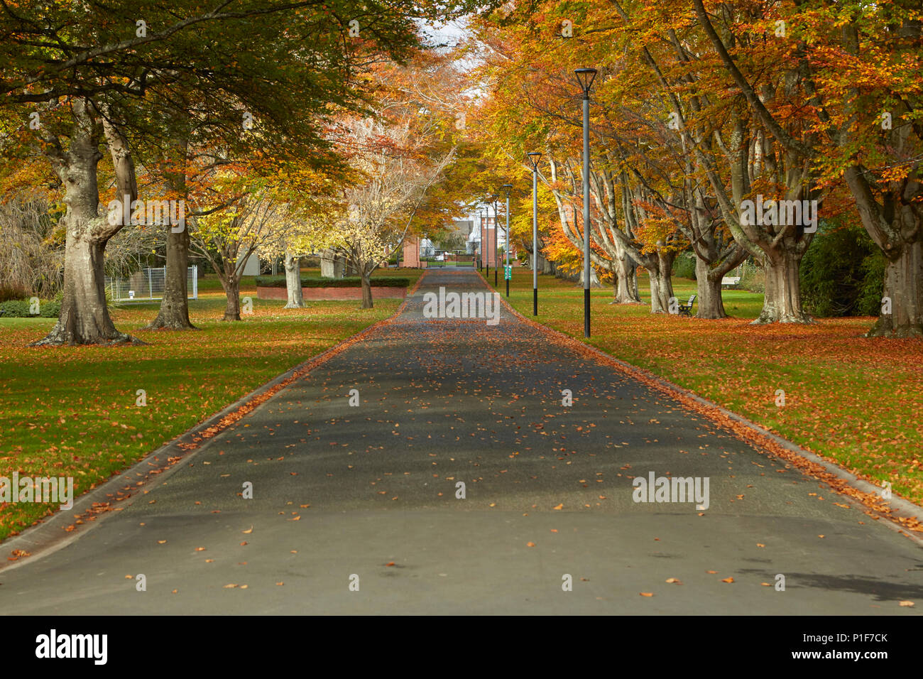 Queens Park Invercargill High Resolution Stock Photography and Images ...