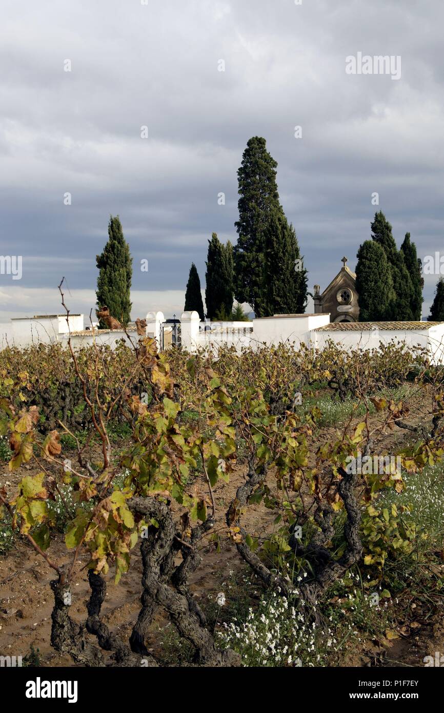 Pla del penedes hi-res stock photography and images - Alamy