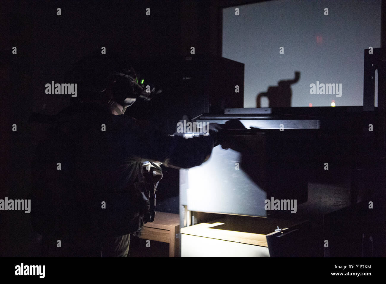 U.S. Army Special Forces and U.S. Air Force Special Operations Forces ...