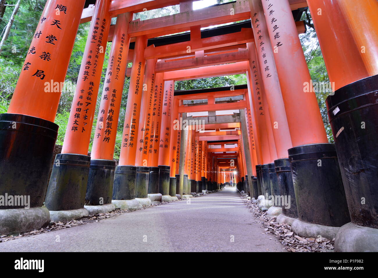 The torii path across the mountain. Fushimi Inari Taisha shrine. Kyoto ...