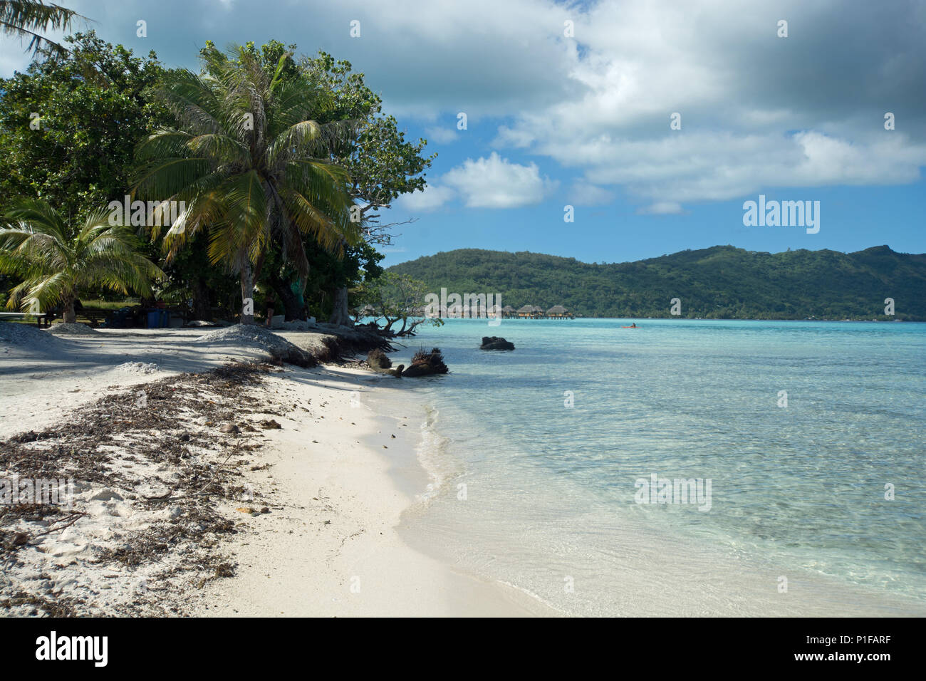 Pacific Island coastal landscapes Stock Photo - Alamy