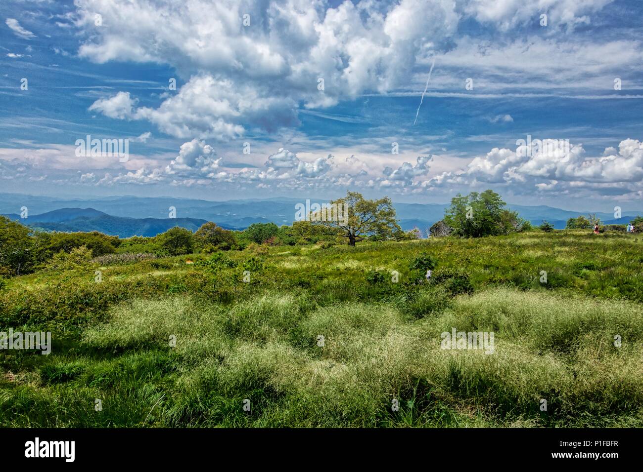 Landscapes of the Blue Ridge Mountains of North Carolina and Tennessee ...