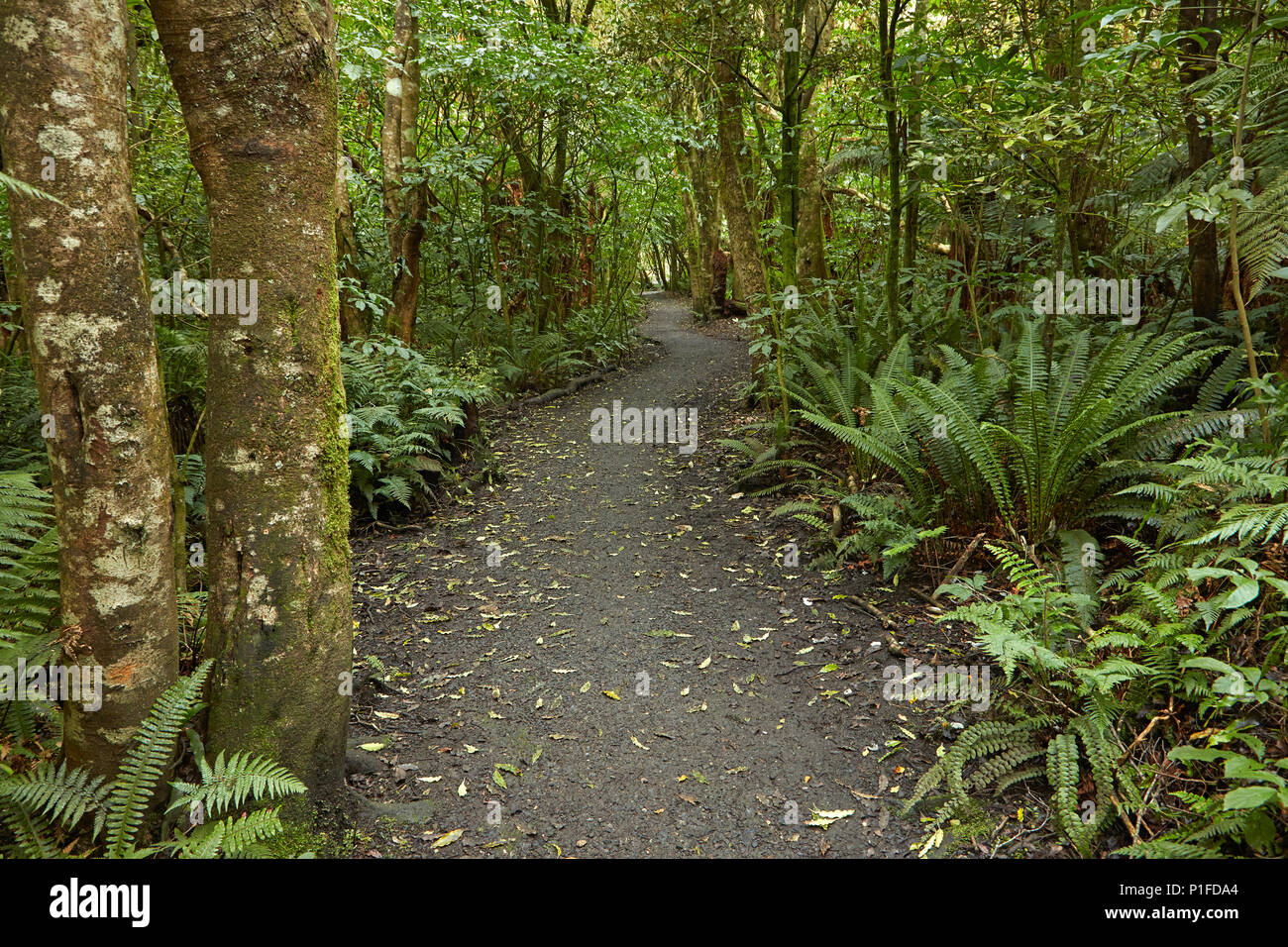 Invercargill south hi-res stock photography and images - Alamy