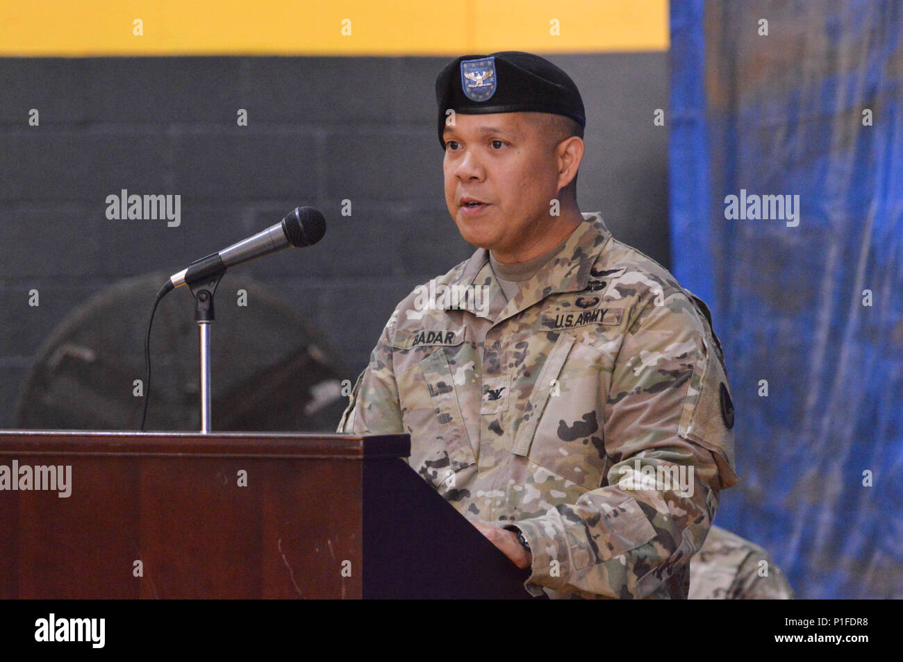 SCHOFIELD BARRACKS ⎯ Col. Patrick J. Badar, commander of 413th ...