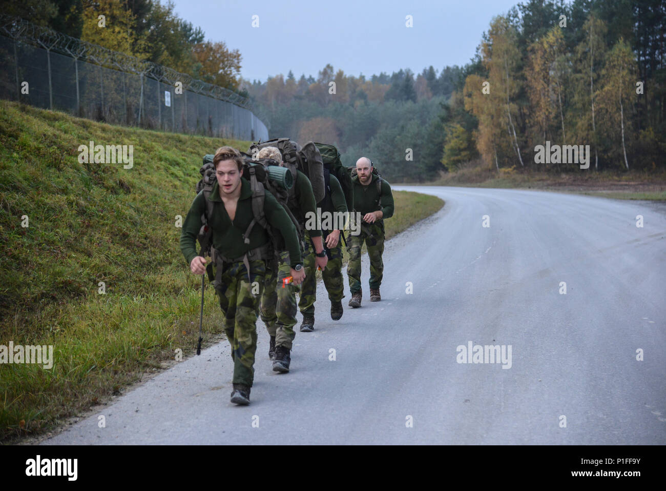 Swedish army cavalry infantry regiment hi-res stock photography and ...