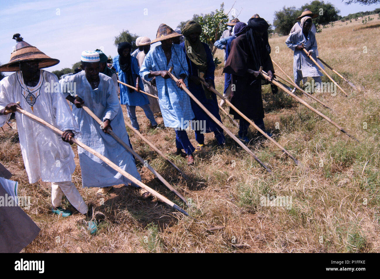 Rural community creating a fire break in the hot summer sun in Niger ...