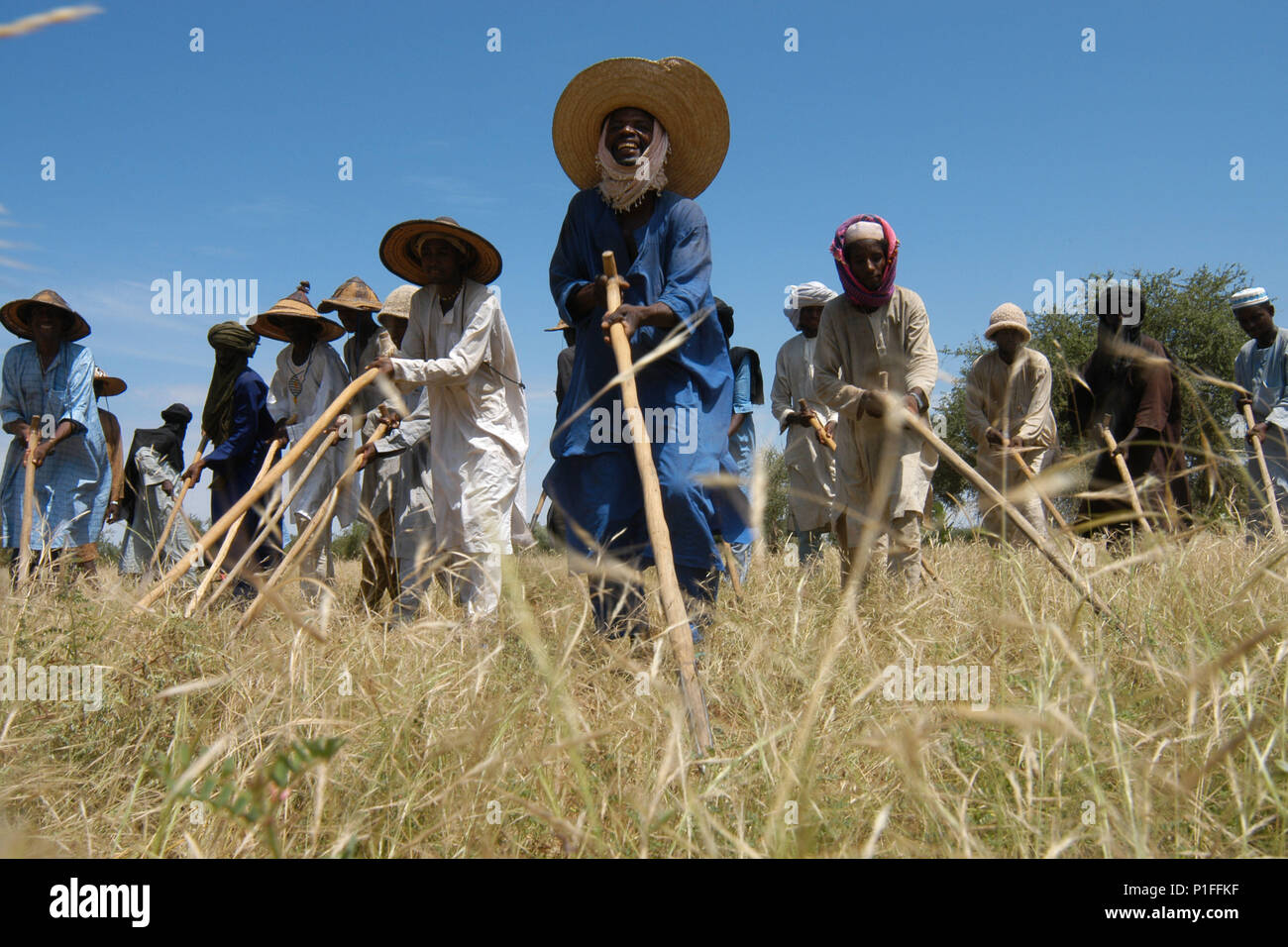 Rural community creating a fire break in the hot summer sun in Niger ...