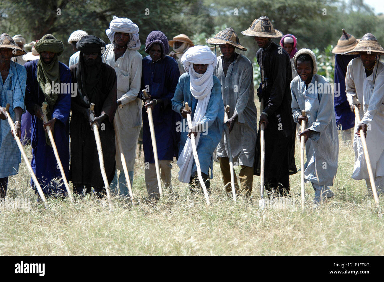 Rural community creating a fire break in the hot summer sun in Niger ...