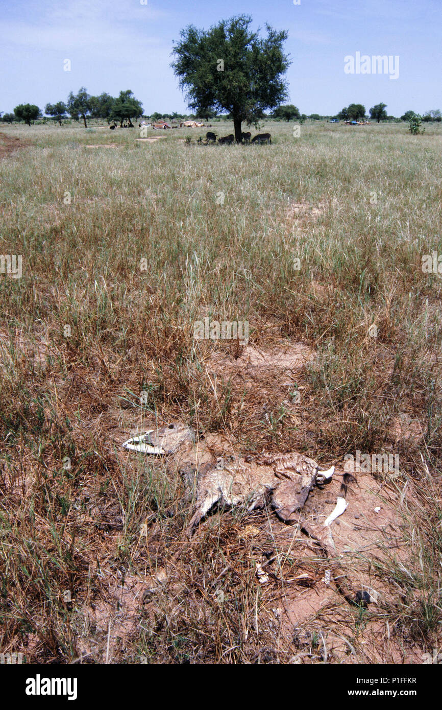 Niger drought farming hi-res stock photography and images - Alamy