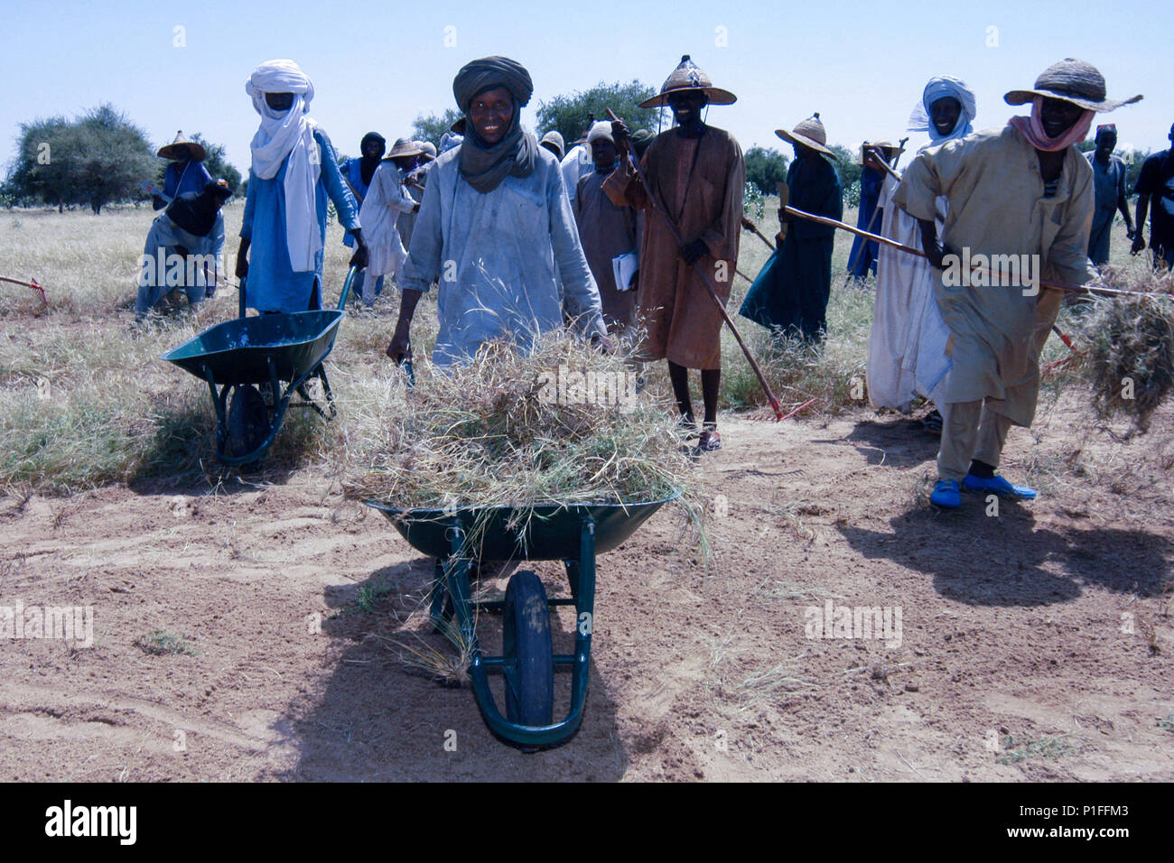 Rural community creating a fire break in the hot summer sun in Niger ...