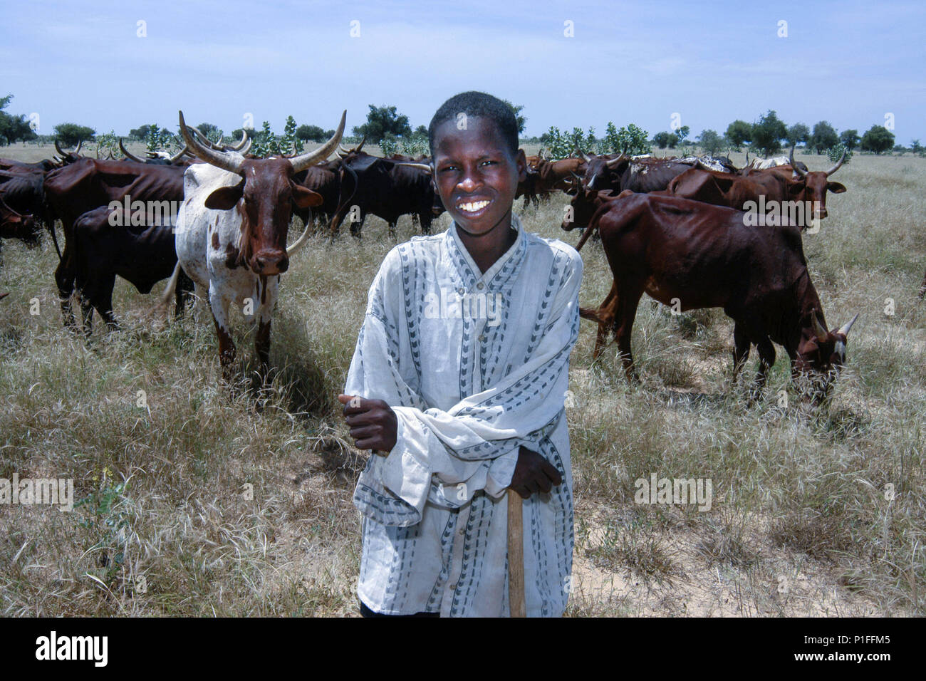 Children looking after animals hi-res stock photography and images - Alamy