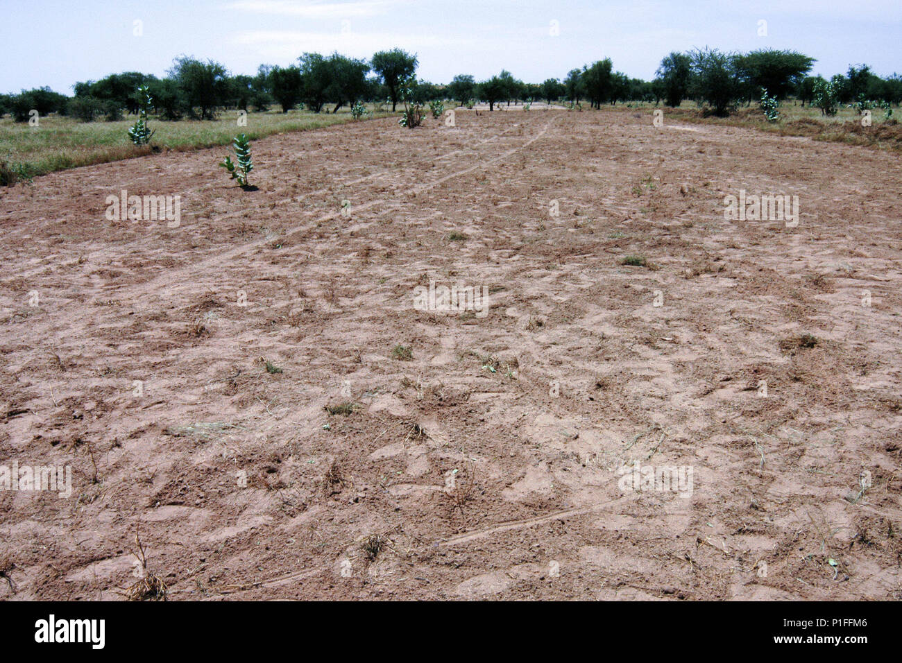 baren land created for a fire break in rural, Niger, Africa Stock Photo ...