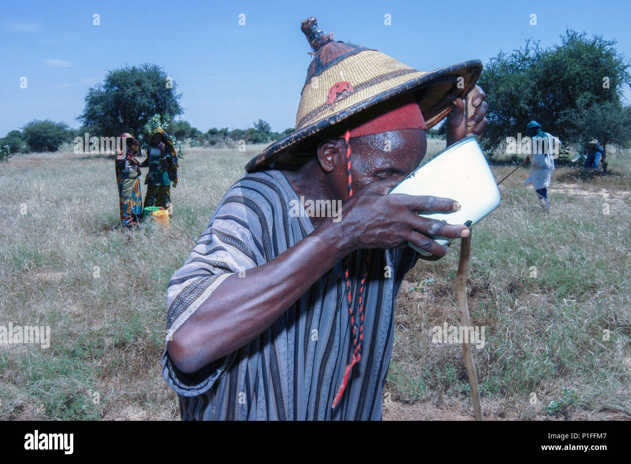 Rural community creating a fire break in the hot summer sun in Niger ...