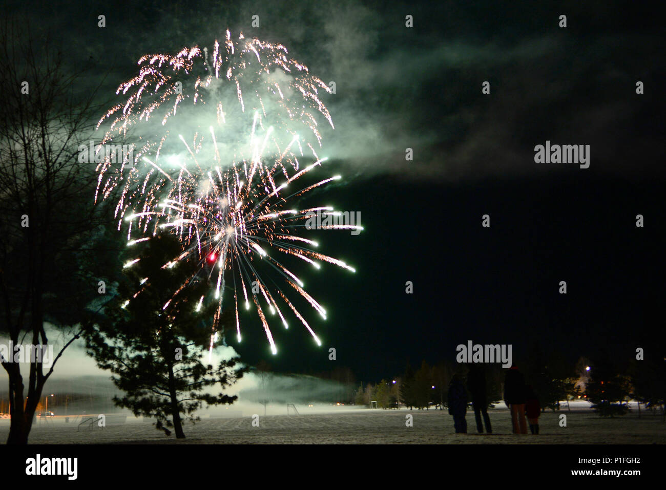 A group of Airmen and their families watch a fireworks show at the end ...