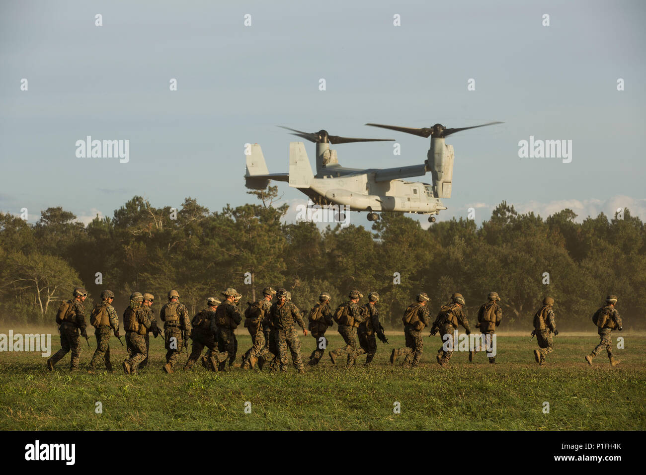 Marines with 3rd Battalion, 6th Marine Regiment with the 24th Marine ...