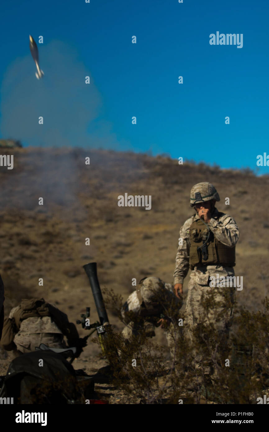 U.S. Marines with Weapons Company, 1st Battalion, 2nd Marine Regiment ...