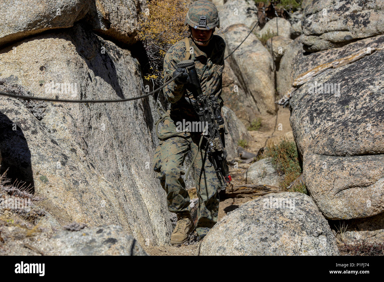 Hasty repel hi-res stock photography and images - Alamy