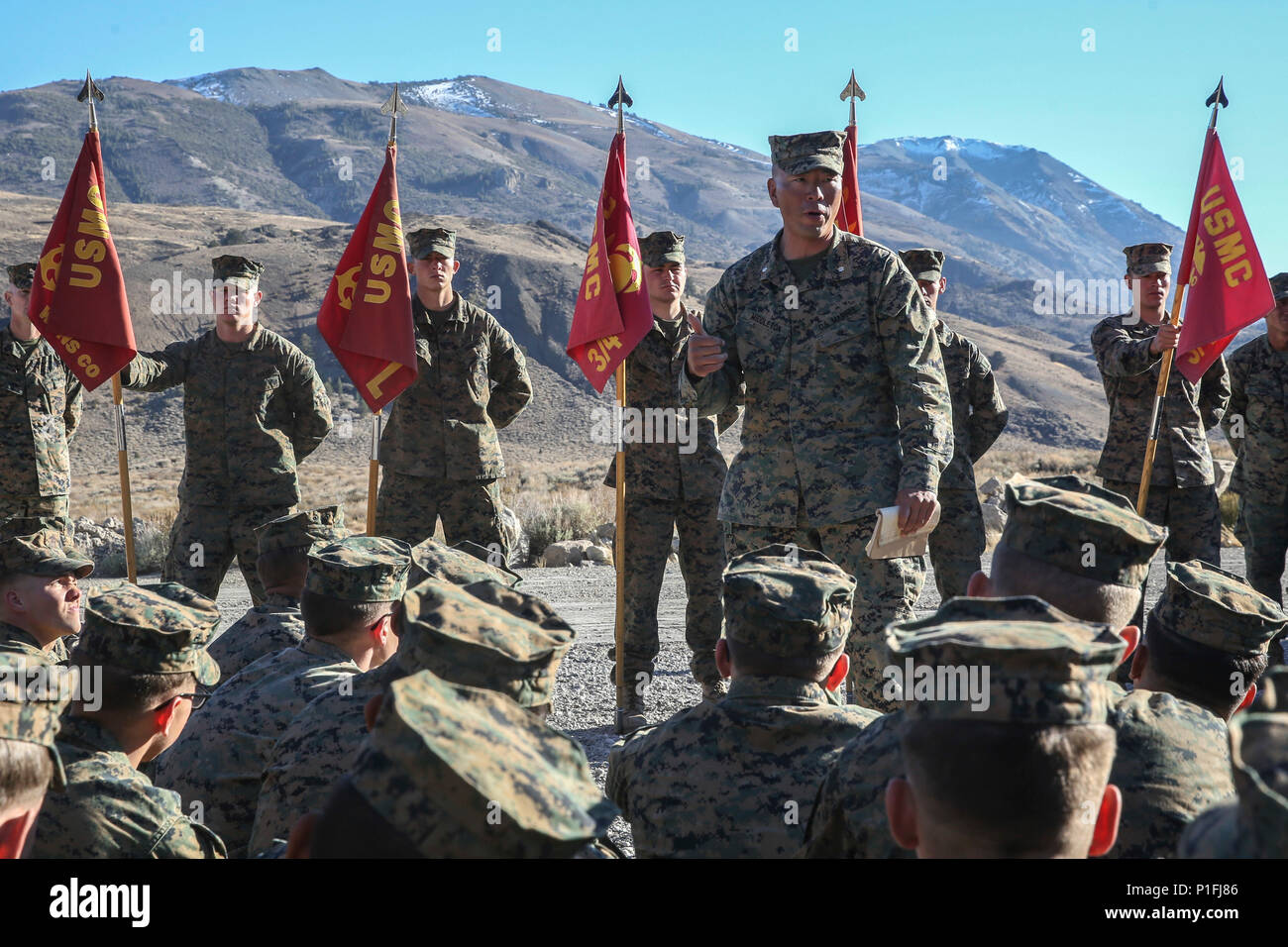 Lieutenant Colonel Brain Middleton, the battalion commander of 3rd ...
