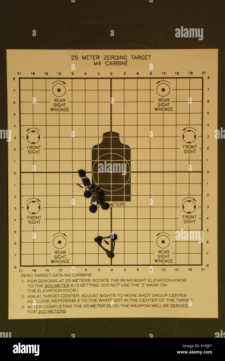 View of Spc. Gabriel Perez' target shows how the accuracy of his shots ...