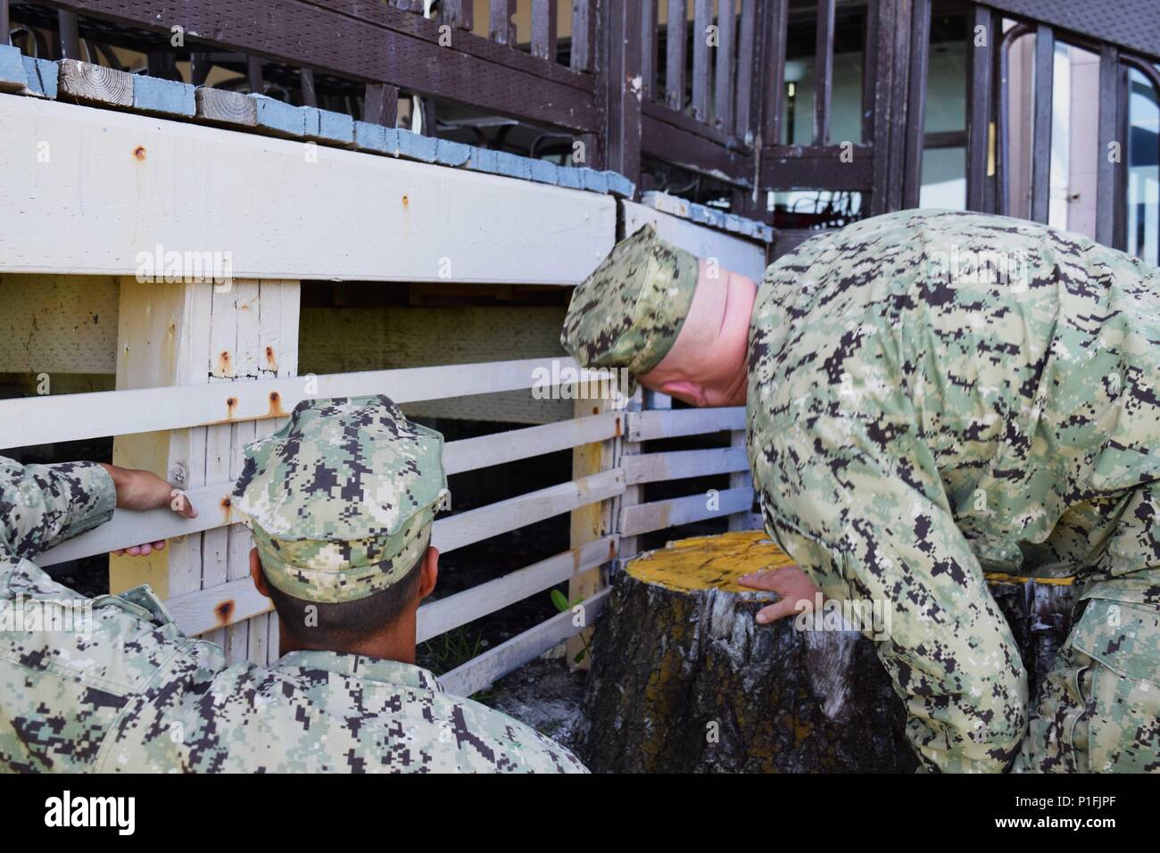 Left to right dominic major hi-res stock photography and images - Alamy