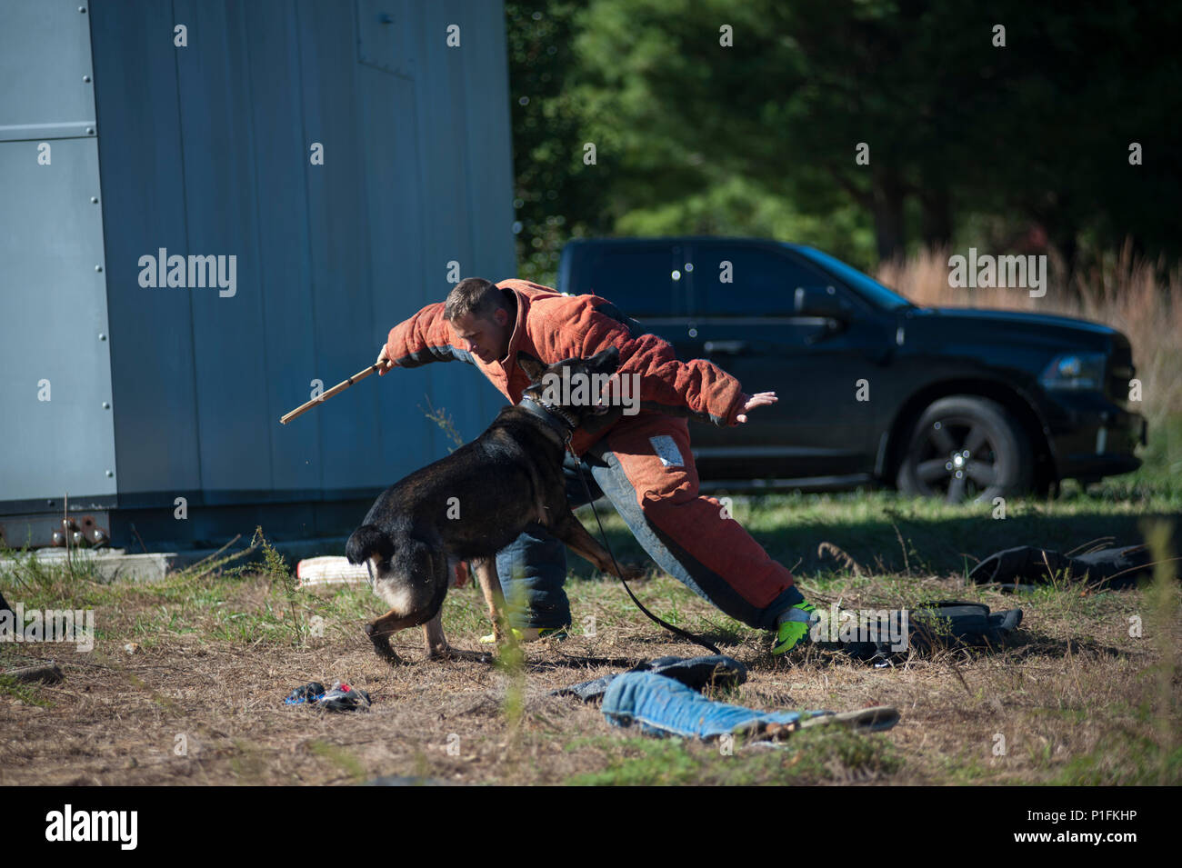 A dog handler is bitten during the bite-work exercise at the K9 Iron ...