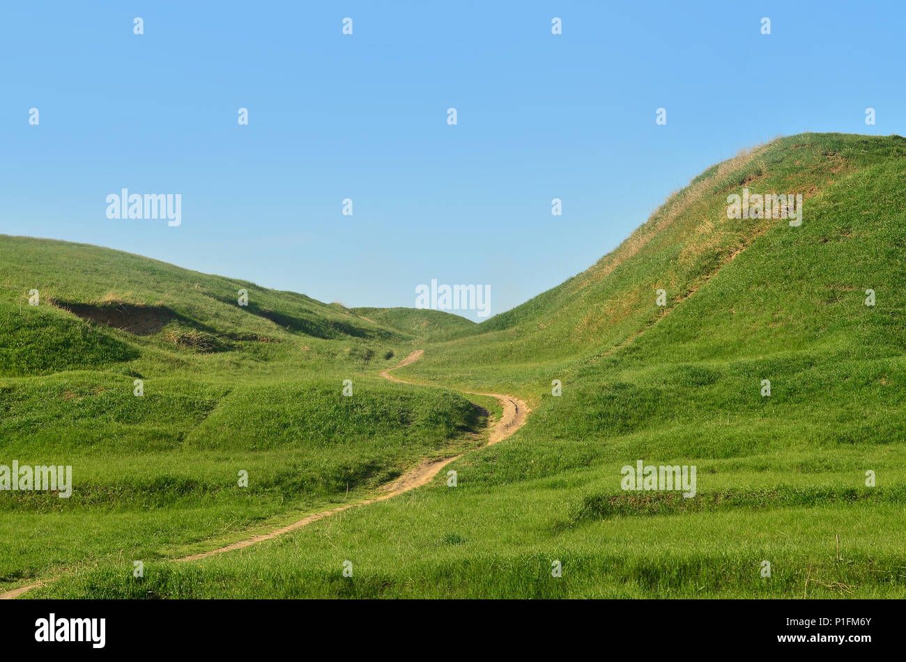 Landscape with a trampled path, passing through a wonderful green ...