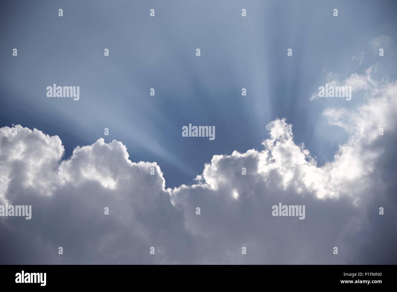 Sunbeam light highlight hi-res stock photography and images - Alamy