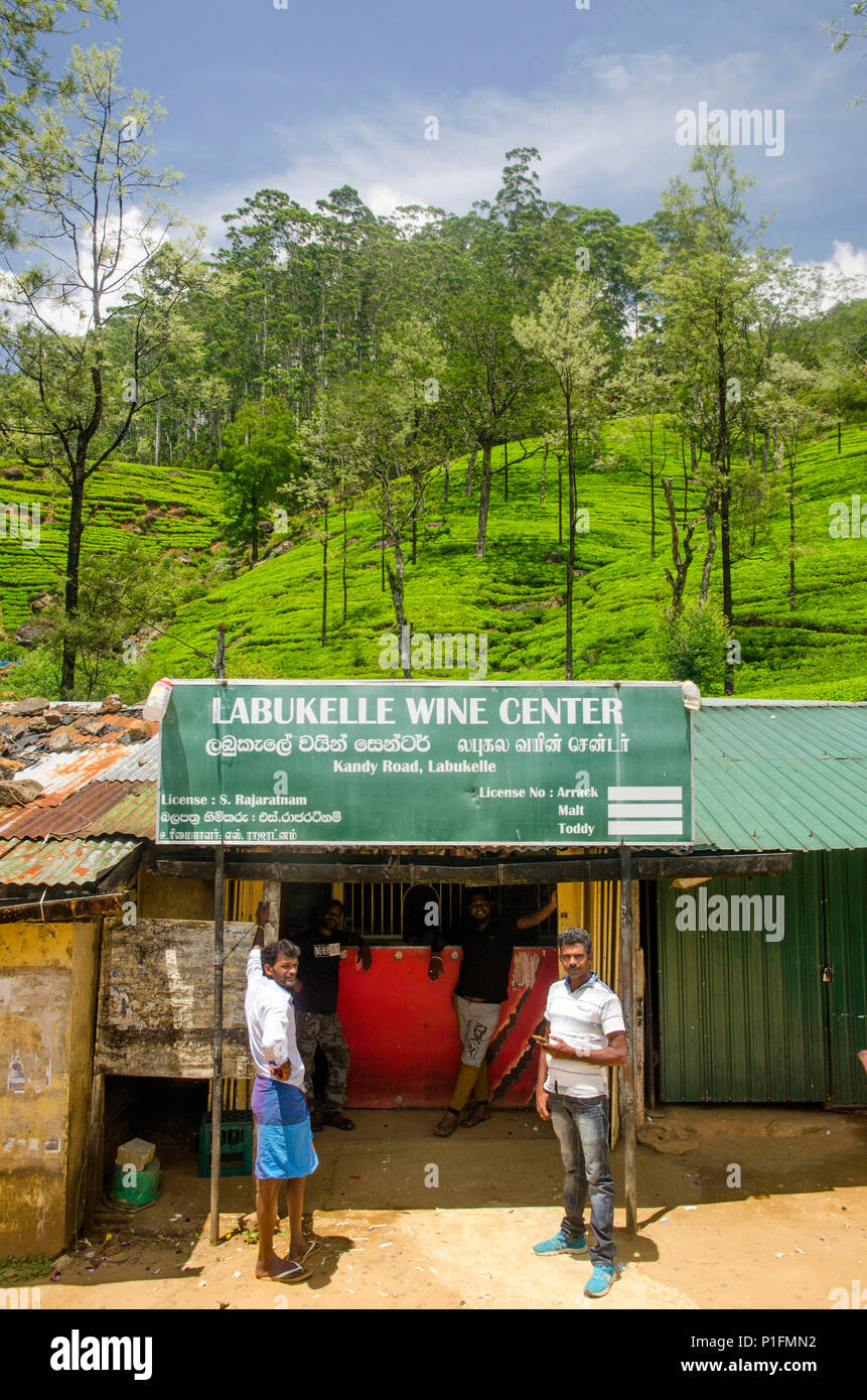 Damro tea estate hi-res stock photography and images - Alamy