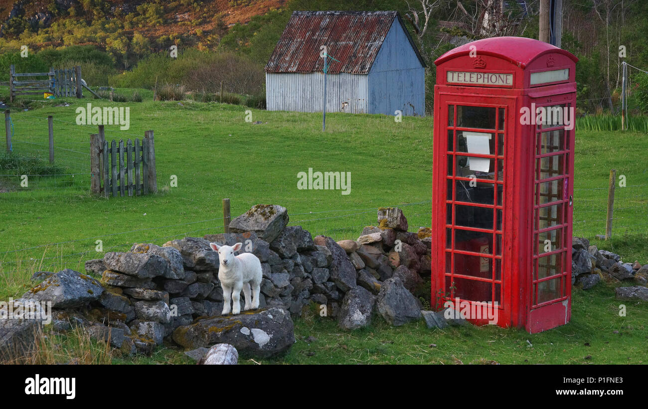 Landscape with telephone box hi-res stock photography and images - Alamy