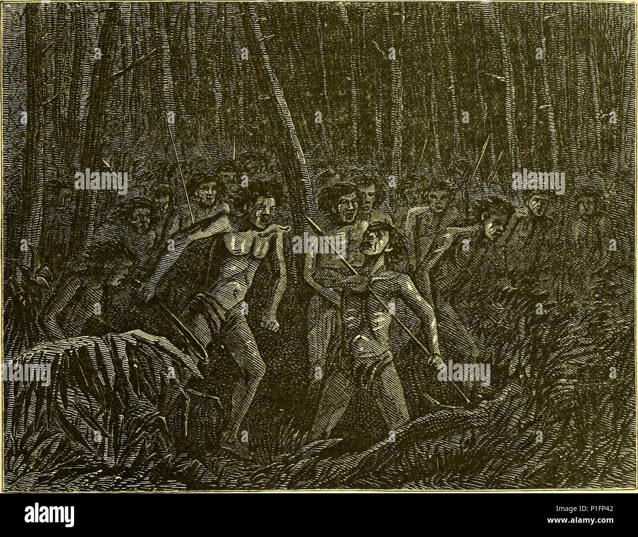 Feejee islands hi-res stock photography and images - Alamy