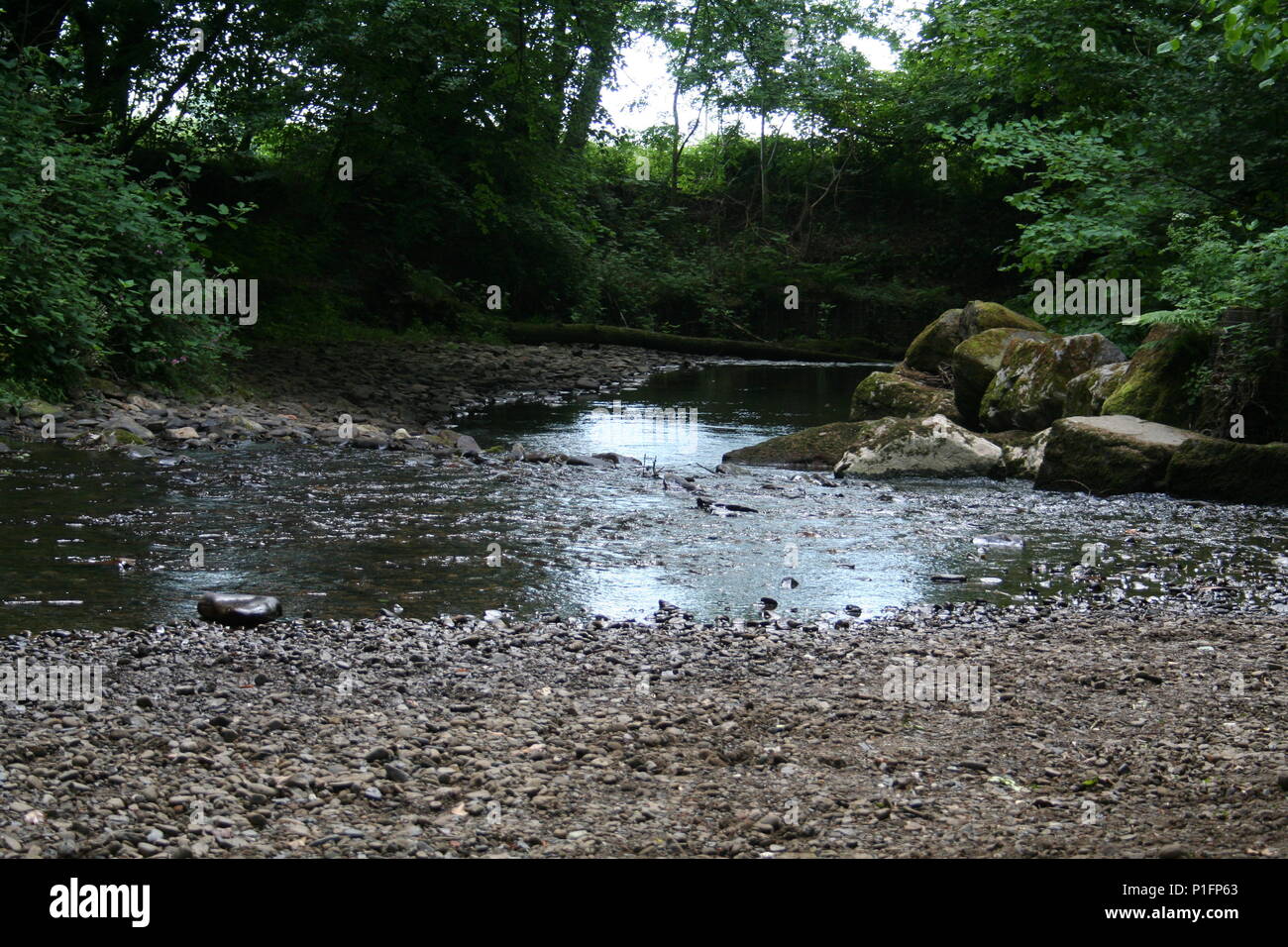 Slow flowing river with pebble bank Stock Photo - Alamy