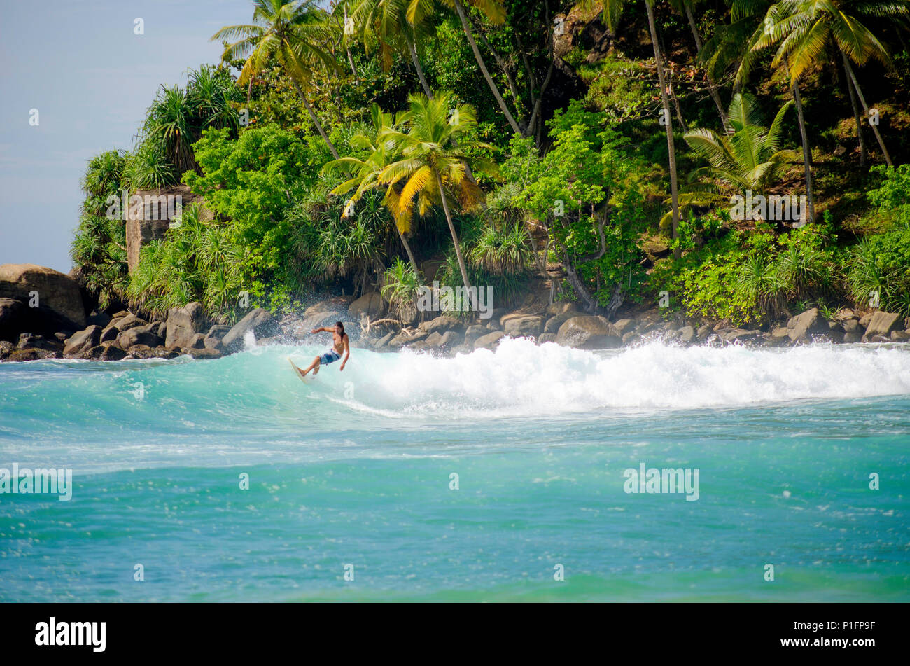 A surfer in Mirissa, Sri Lanka Stock Photo - Alamy