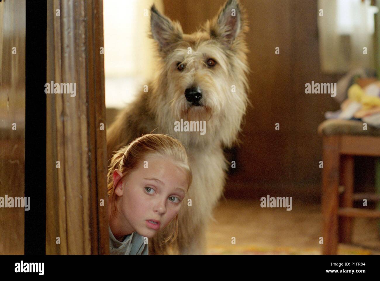 Because of winn dixie hi-res stock photography and images - Alamy