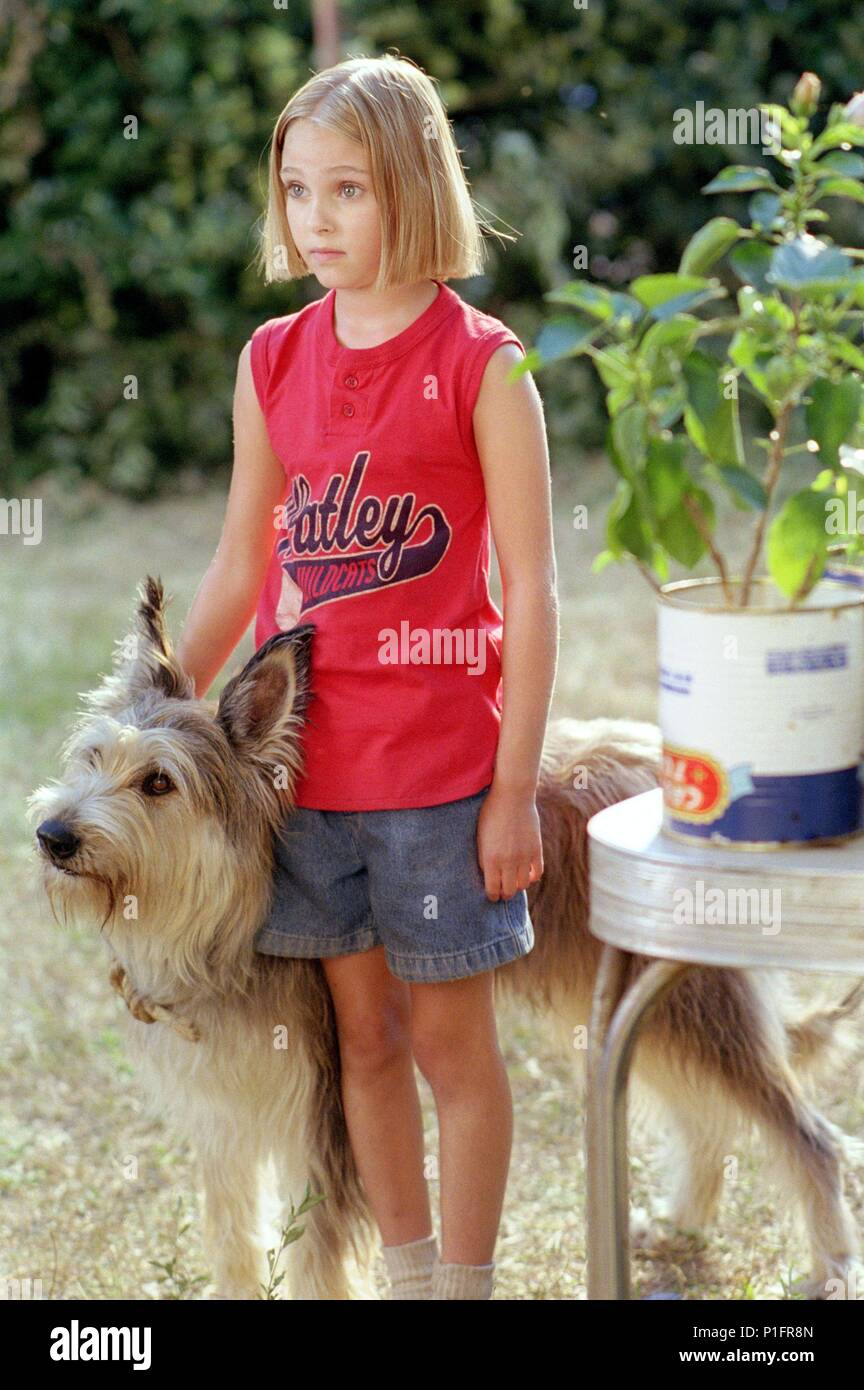 Original Film Title: BECAUSE OF WINN-DIXIE. English Title: BECAUSE OF ...