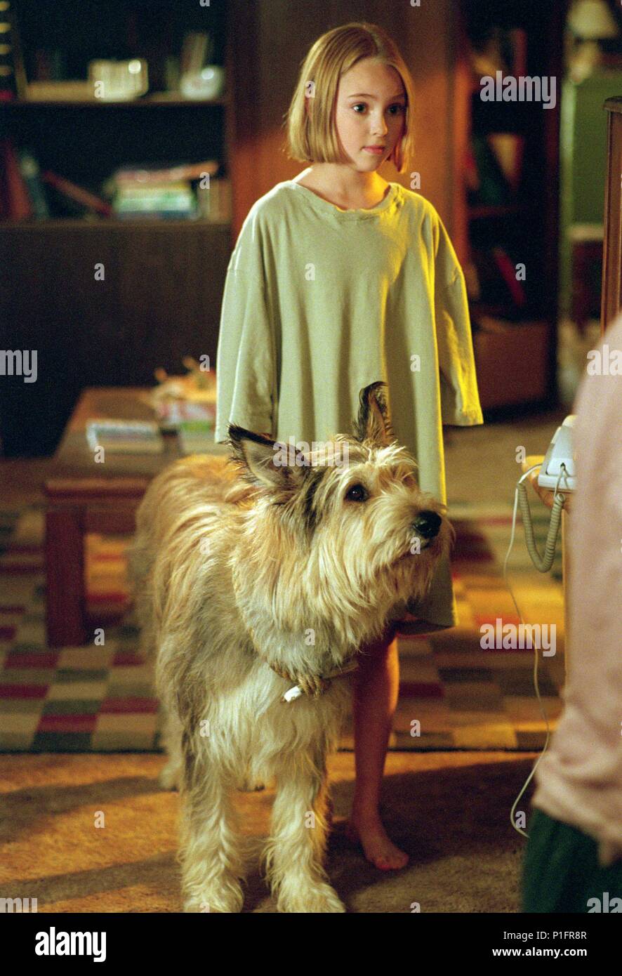 Original Film Title: BECAUSE OF WINN-DIXIE. English Title: BECAUSE OF WINN-DIXIE. Film Director ...