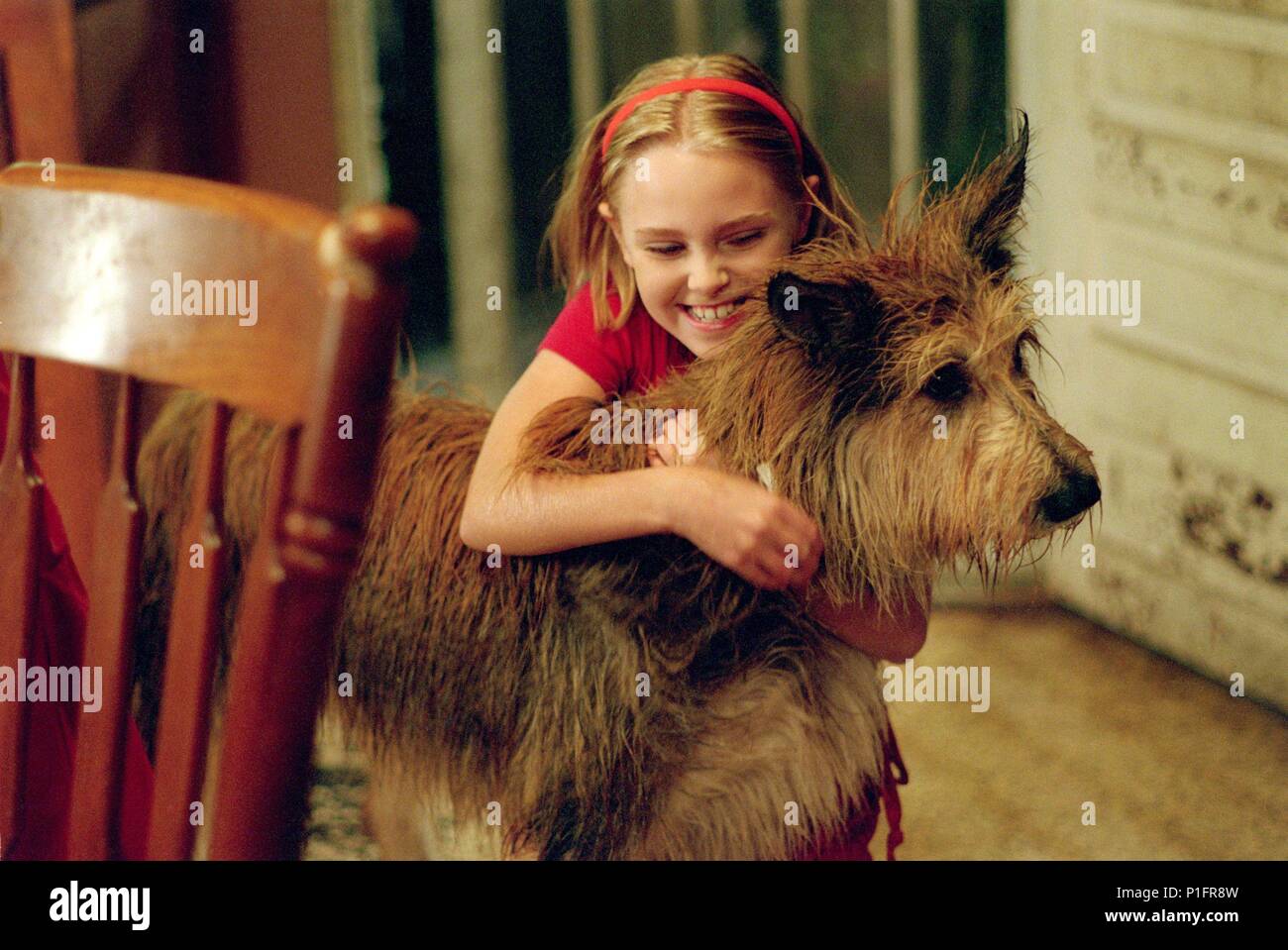 Because Of Winn Dixie Movie Cast