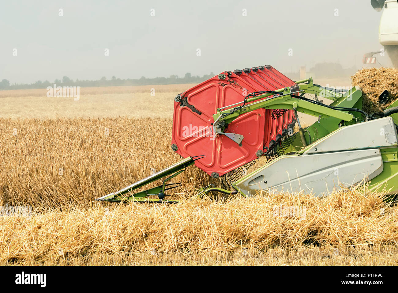 Closeup Combine harvesting a wheat field. Combine working the field ...