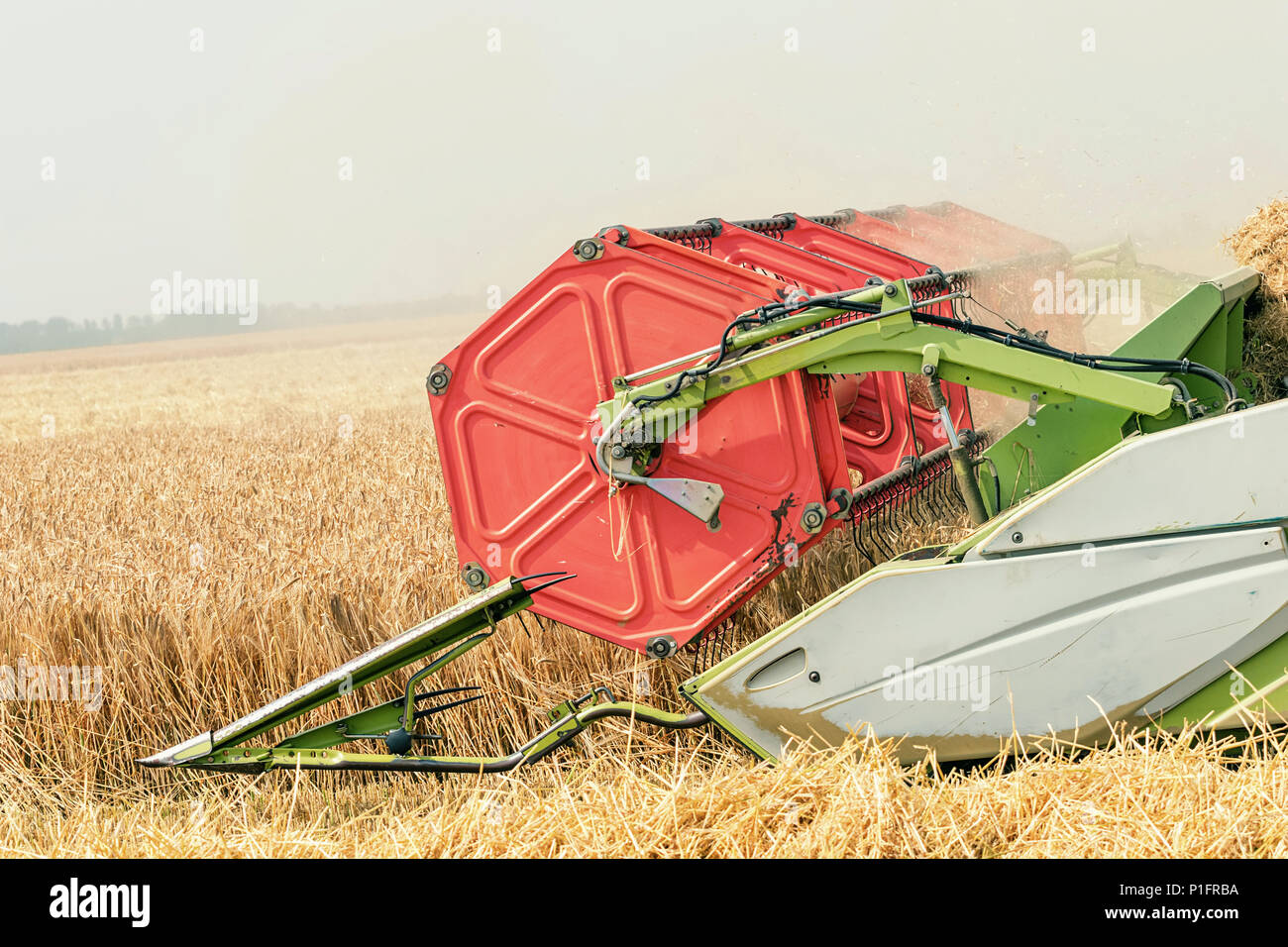 Closeup Combine harvesting a wheat field. Combine working the field ...
