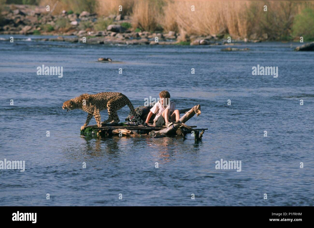 Alex michaeletos hi-res stock photography and images - Alamy