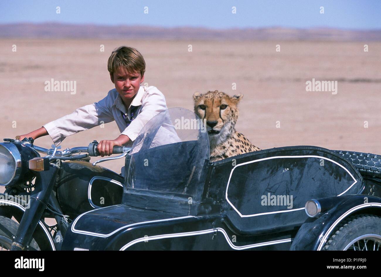 Original Film Title: ANN. English Title: ANN. Film Director: CARROLL ...