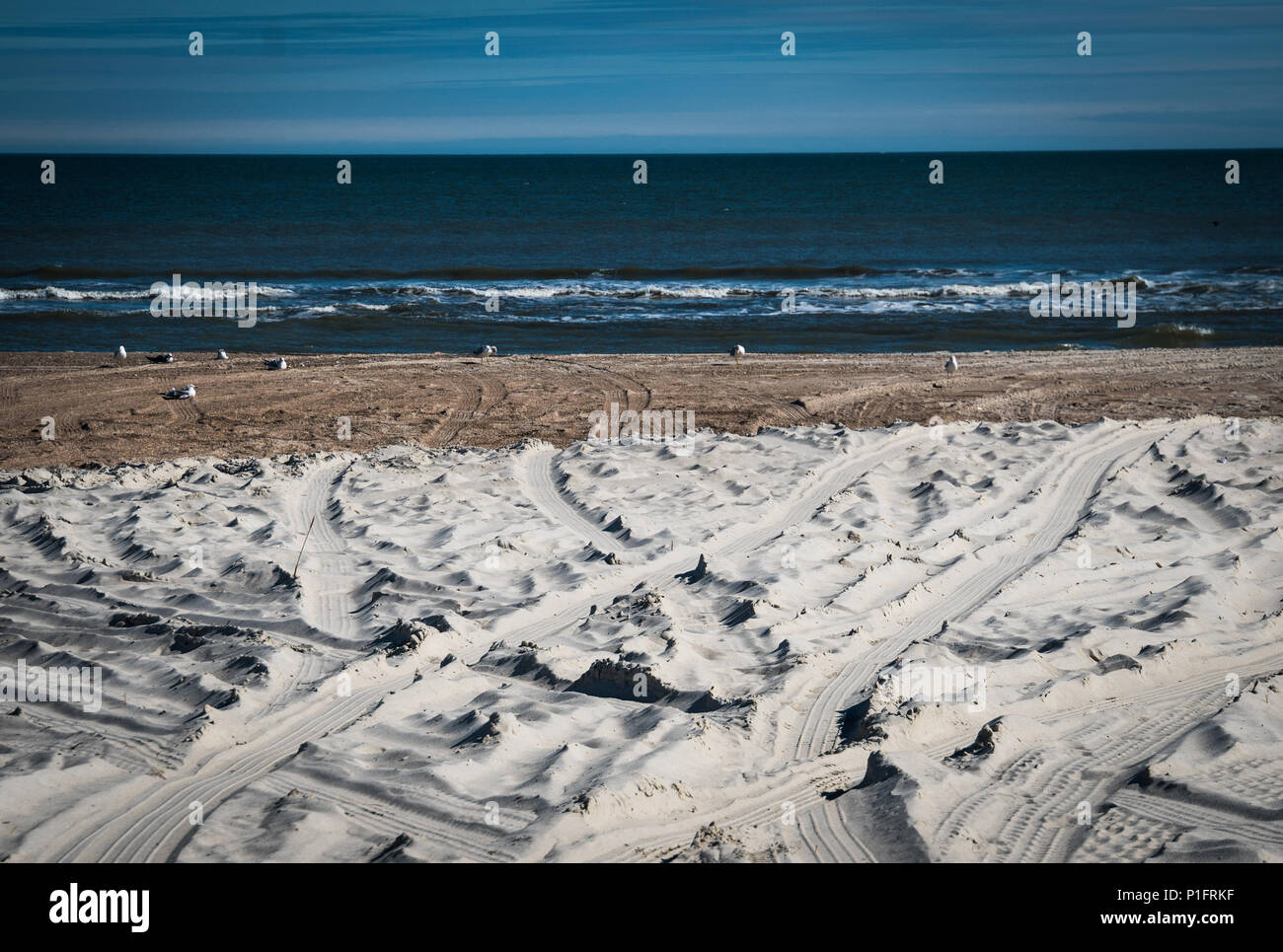 Tracks in the sand Stock Photo - Alamy