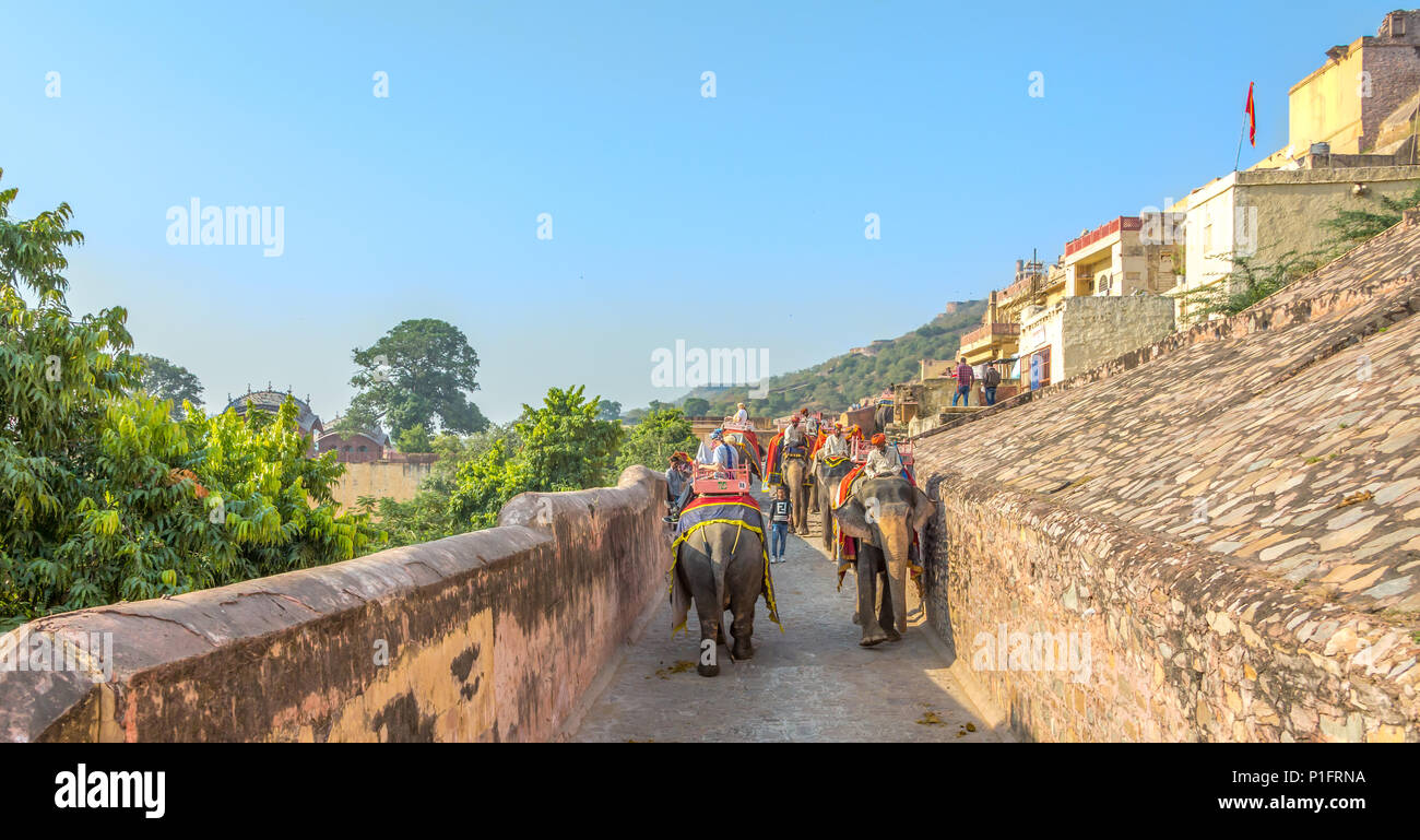 Indian elephant rides hi-res stock photography and images - Alamy
