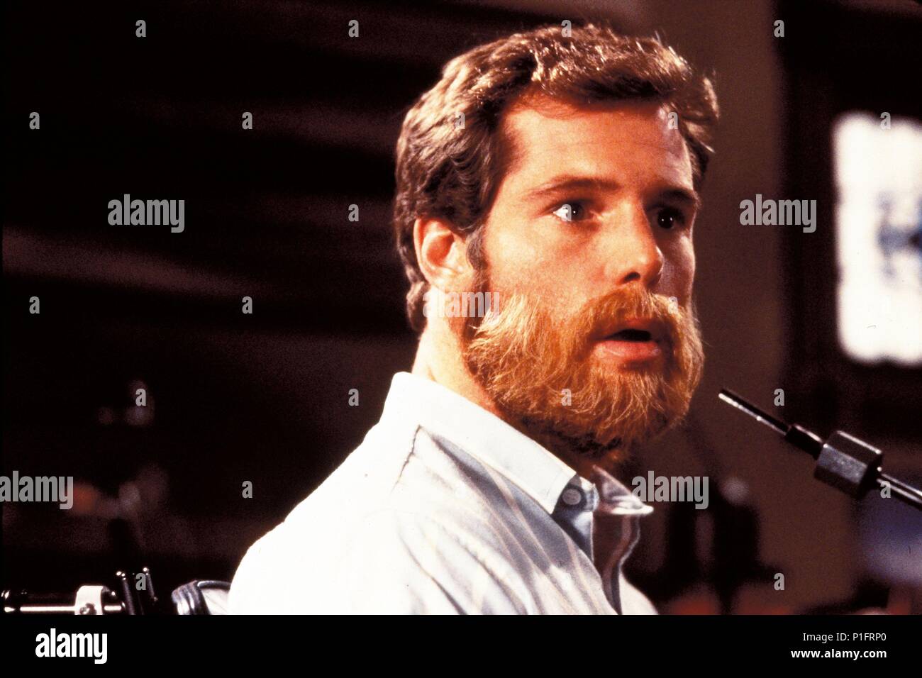 Original Film Title: MONKEY SHINES. English Title: MONKEY SHINES. Film ...