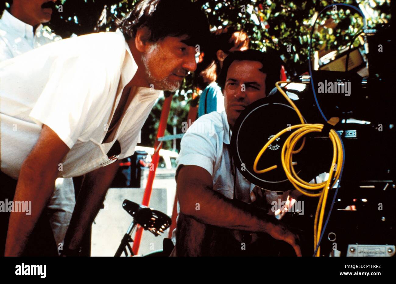 Original Film Title: MONKEY SHINES. English Title: MONKEY SHINES. Film ...