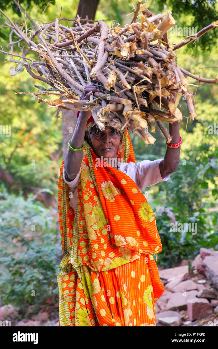 Indian woman carrying bundle in hi-res stock photography and images - Alamy