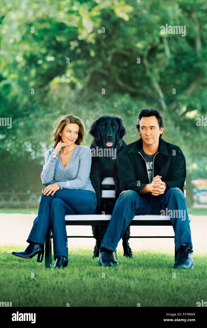 Original Film Title: MUST LOVE DOGS. English Title: MUST LOVE DOGS ...