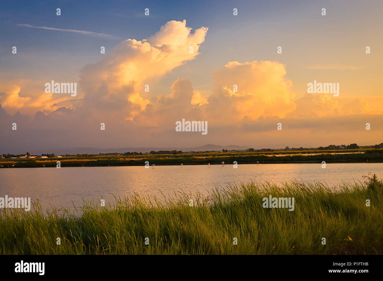 deep sunset on brackish wetlands Stock Photo - Alamy