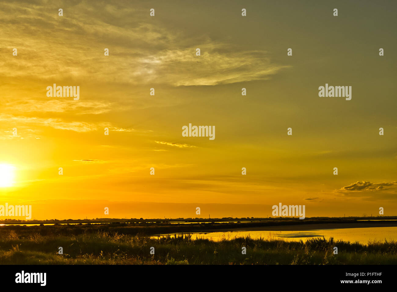 deep sunset on brackish wetlands Stock Photo - Alamy
