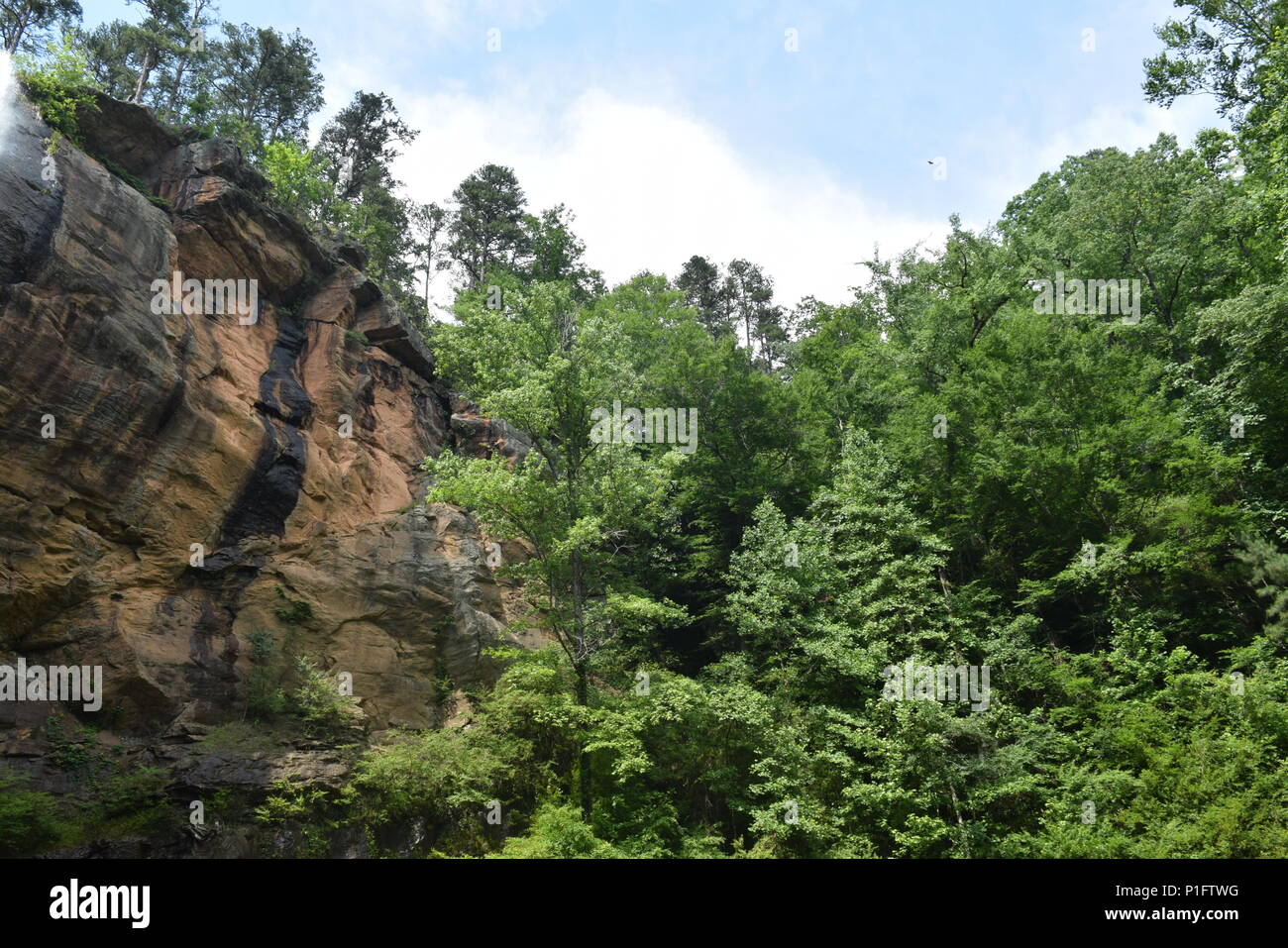 Rock Structure in Forest Stock Photo - Alamy